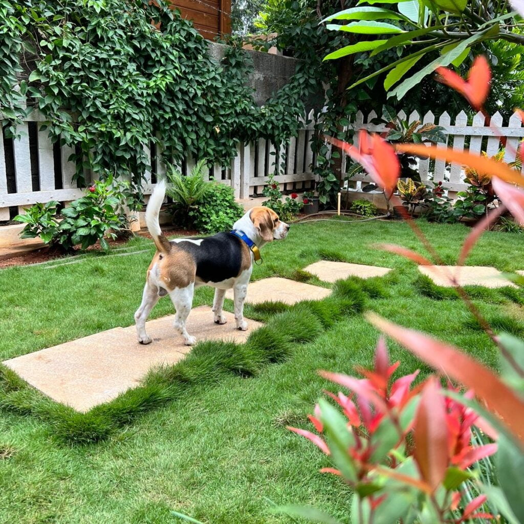 Private Pool Villa In Nandi Hills - Nandi Mist Meadows