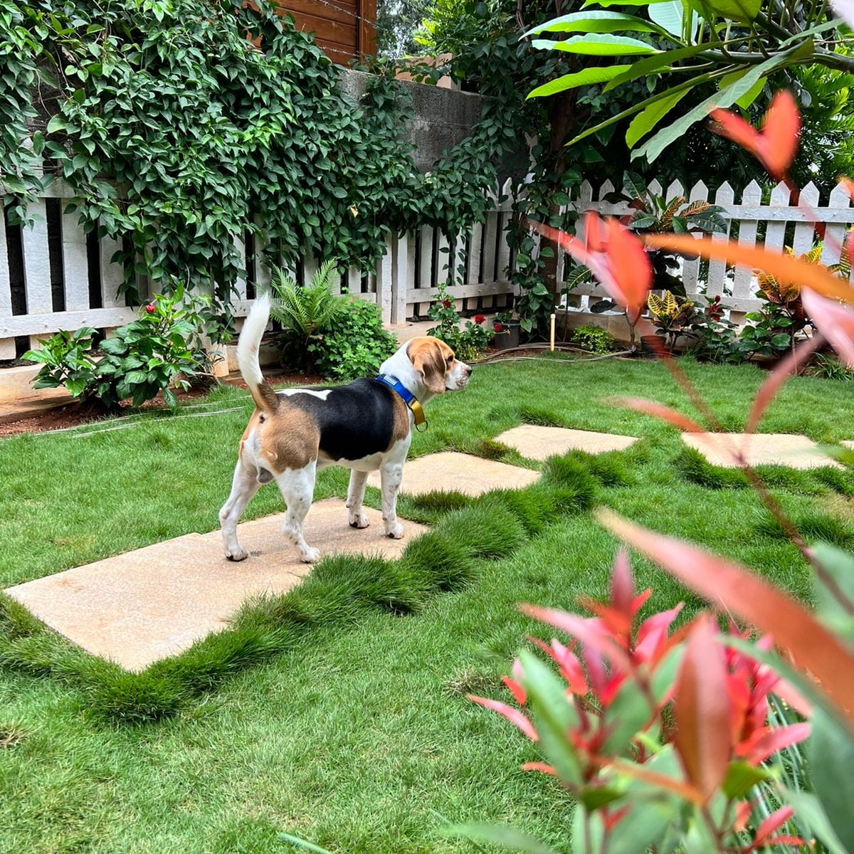 Private Pool Villa In Nandi Hills - Nandi Mist Meadows